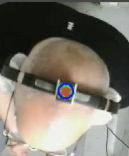 Head-bopping beats. [VIDEO] | EurekAlert! Science News Releases