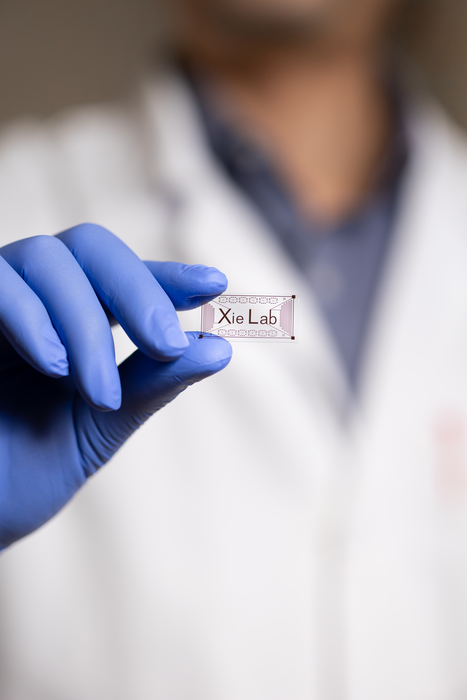 New ultrafast water disinfection method is mo | EurekAlert!