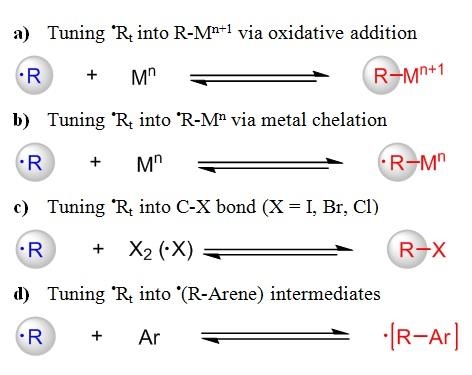 Tuning Radical Reactivity for [IMAGE] | EurekAlert! Science News Releases