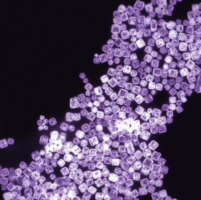 Self-Assembled, Complex Nano-Objects in 3-D ( | EurekAlert!