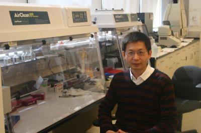 New method developed by UC San Diego bioengin | EurekAlert!