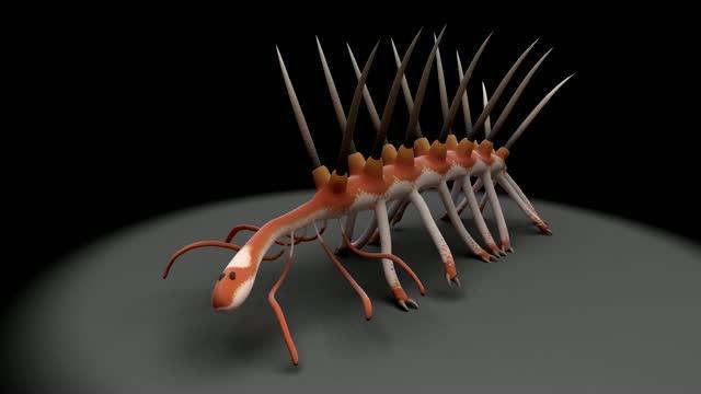 Newly found ring of teeth uncovers what commo | EurekAlert!