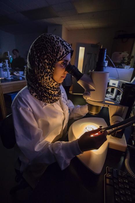 Researcher image [IMAGE] | EurekAlert! Science News Releases