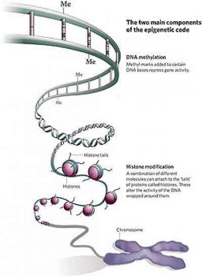 NIH awards $16.6 million to UC San Diego Rese | EurekAlert!