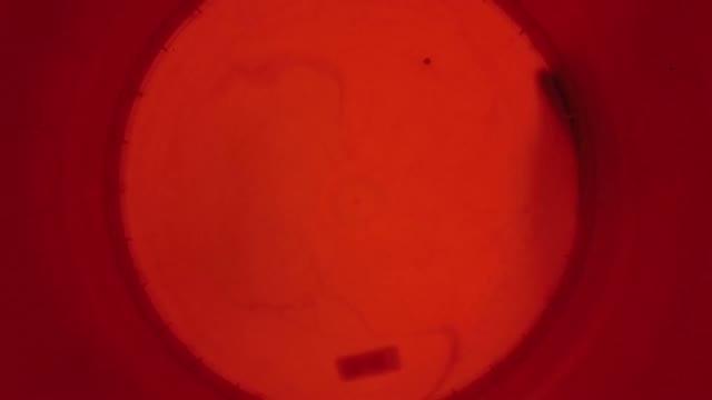 Sustainable Agriculture: Engineering a Win-wi | EurekAlert!