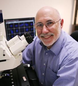 Jerry Shay, UT Southwestern [IMAGE] | EurekAlert! Science News Releases