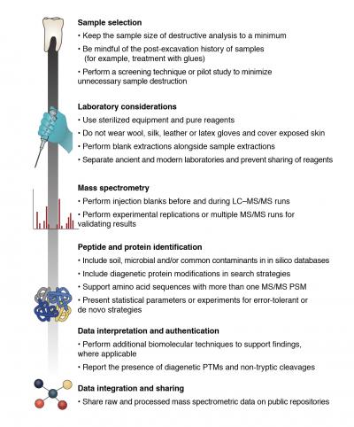 Workflow Graphic [IMAGE] | EurekAlert! Science News Releases