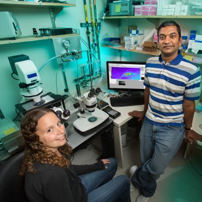 Sarah Leinwand, University of [IMAGE] | EurekAlert! Science News Releases