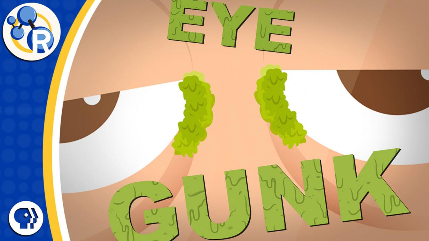 What are eye crusties made of? (video) | EurekAlert!