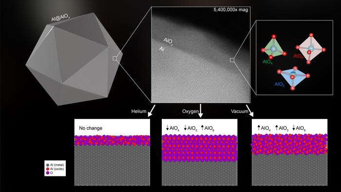 research schematic [IMAGE] | EurekAlert! Science News Releases