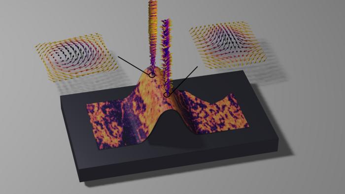 Magnetic whirls image [IMAGE] | EurekAlert! Science News Releases