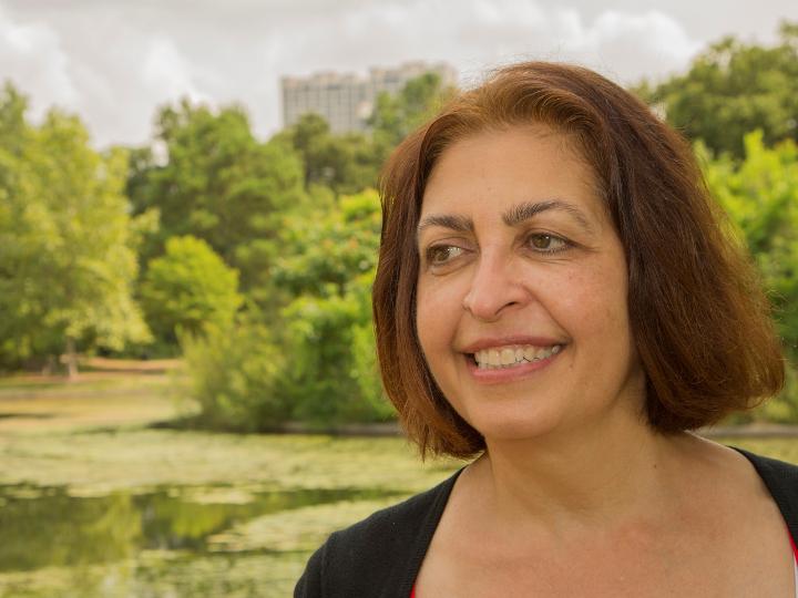 Hanadi Rifai, University of Ho [IMAGE] | EurekAlert! Science News Releases