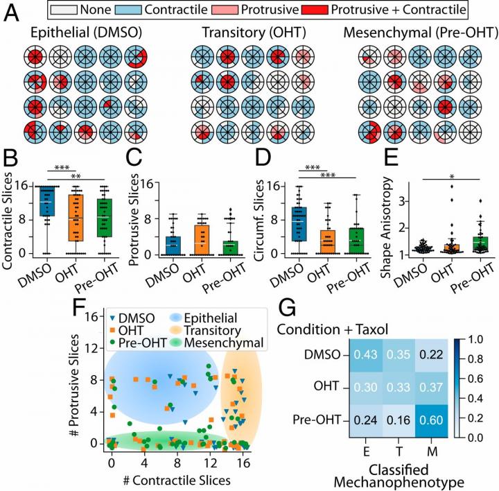 DART-boards [IMAGE] | EurekAlert! Science News Releases