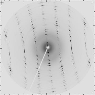 Laue Diffraction Image of Sepi [IMAGE] | EurekAlert! Science News Releases
