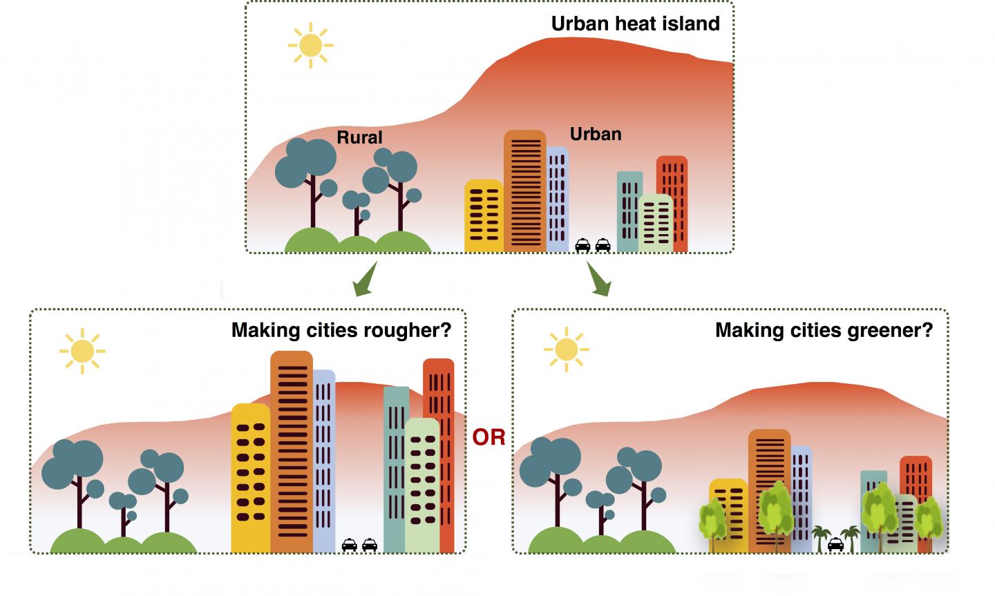 Vegetation, Moisture Control Urban Heat Islan | EurekAlert!