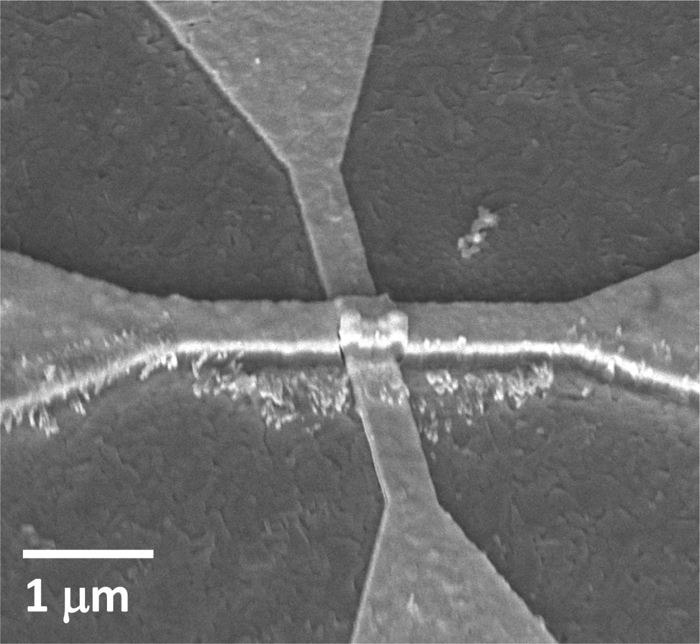 SEM artificial neuron device [IMAGE] | EurekAlert! Science News Releases