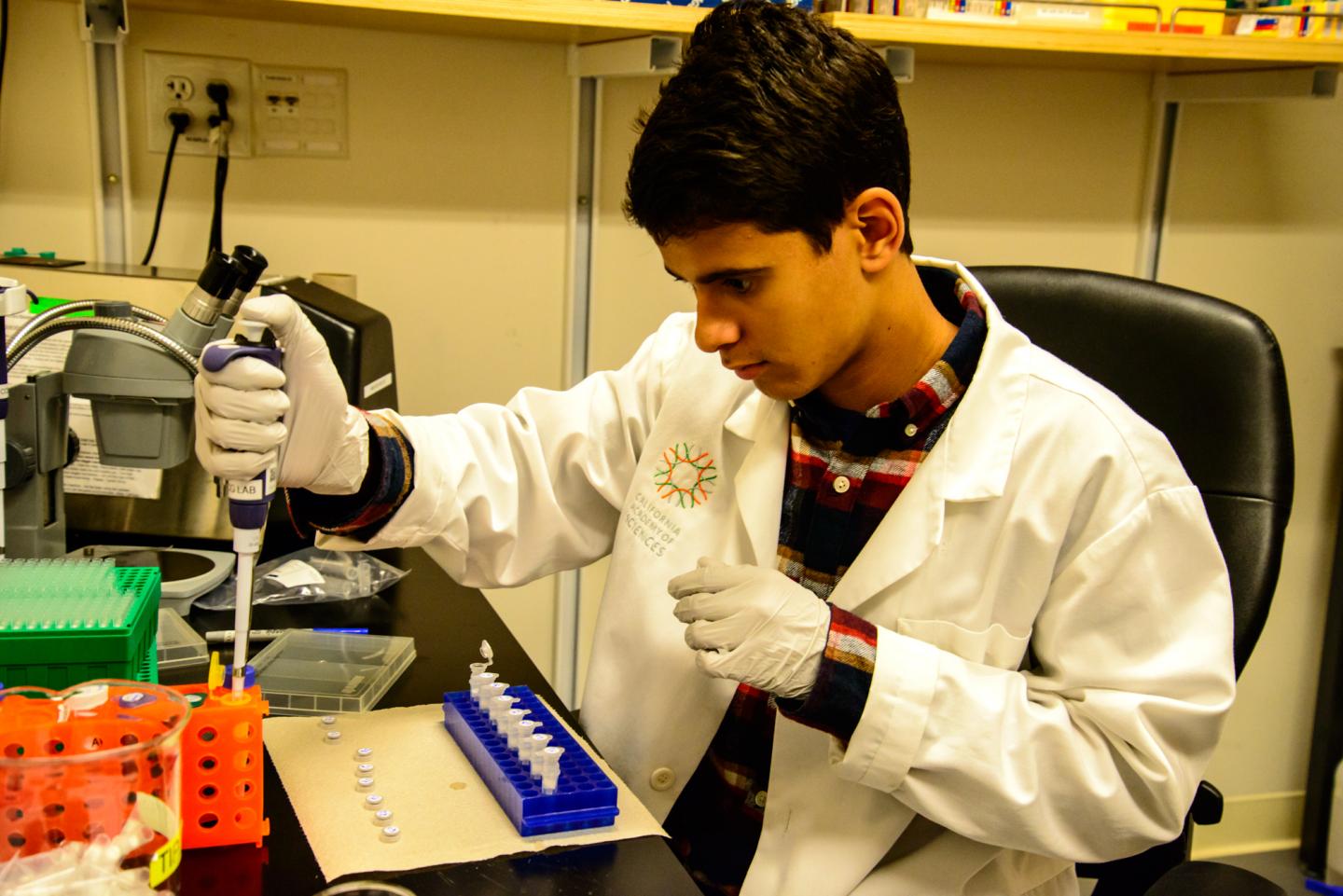 High Schooler Gabriel Rocha, S [IMAGE] | EurekAlert! Science News Releases