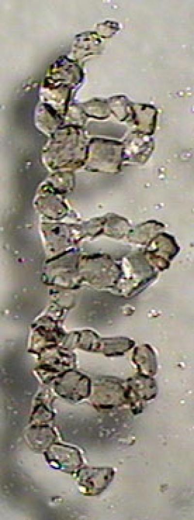 Helix [IMAGE] | EurekAlert! Science News Releases