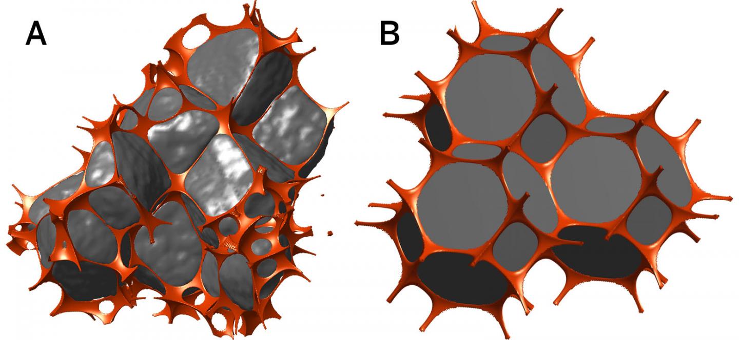 Melt Networks [IMAGE] | EurekAlert! Science News Releases