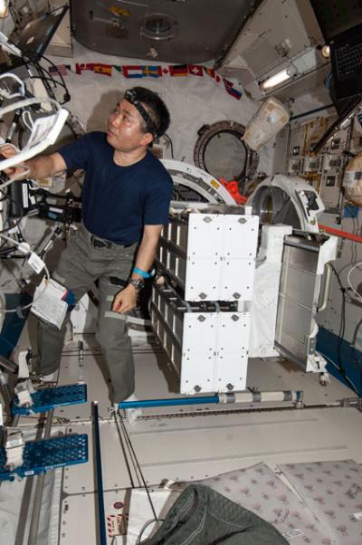 Koichi Wakata, Japan Aerospace [IMAGE] | EurekAlert! Science News Releases