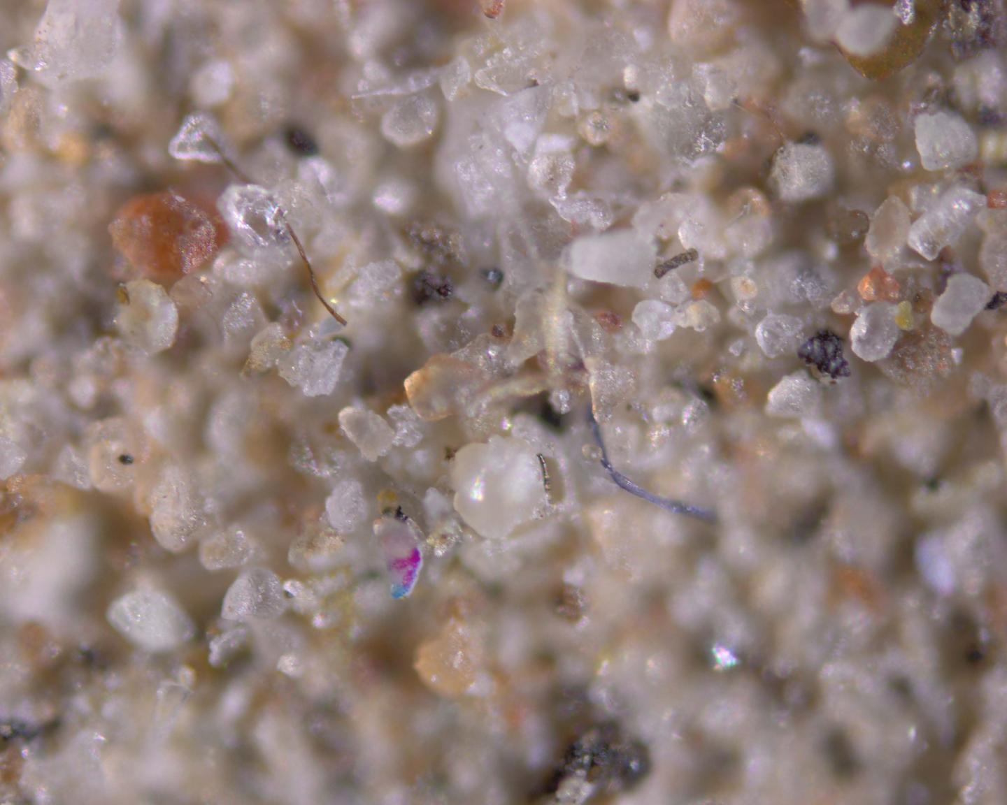 Microplastic particles in atmo [IMAGE] | EurekAlert! Science News Releases