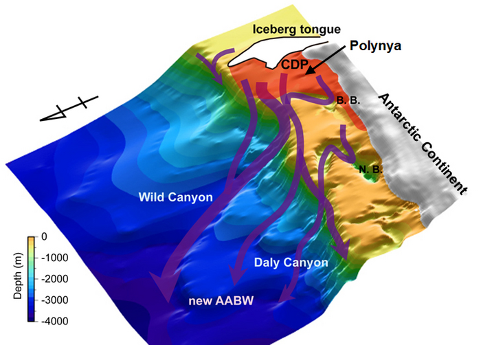 Formation of Antarctic Bottom [IMAGE] | EurekAlert! Science News Releases