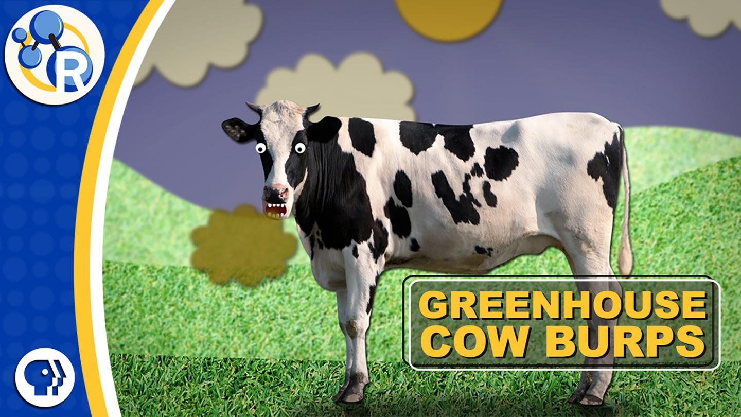 The explosive consequences of cow burps (vide | EurekAlert!