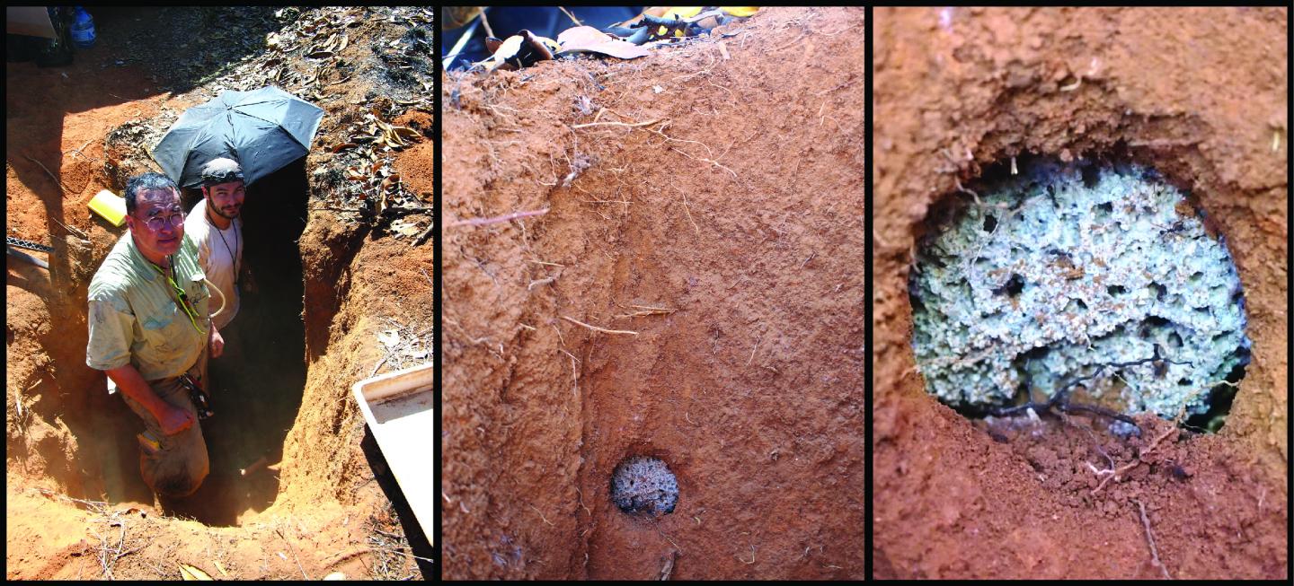 Excavation of Lower Agricultur [IMAGE] | EurekAlert! Science News Releases