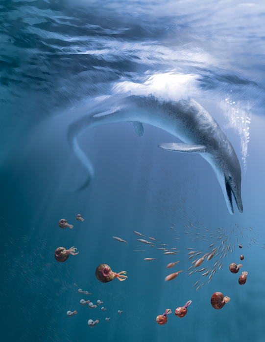 2_Ichthyosaur-reconstruction [IMAGE] | EurekAlert! Science News Releases