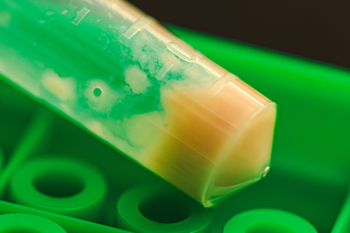 engineered living materials ma [IMAGE] | EurekAlert! Science News Releases