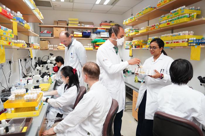 Assoc Prof Adam Claridge-Chang [IMAGE] | EurekAlert! Science News Releases