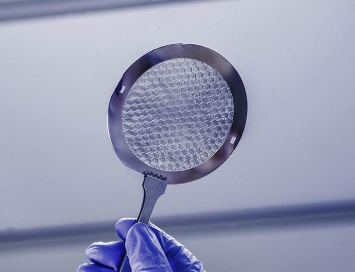 Sieve closeup [IMAGE] | EurekAlert! Science News Releases