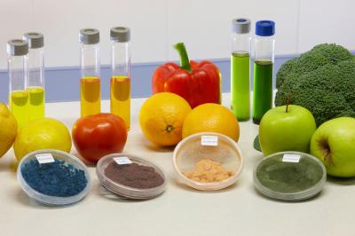 Biotechnology In Food Production