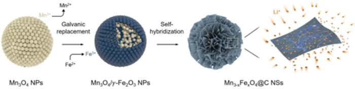 Figure 1 [IMAGE] | EurekAlert! Science News Releases