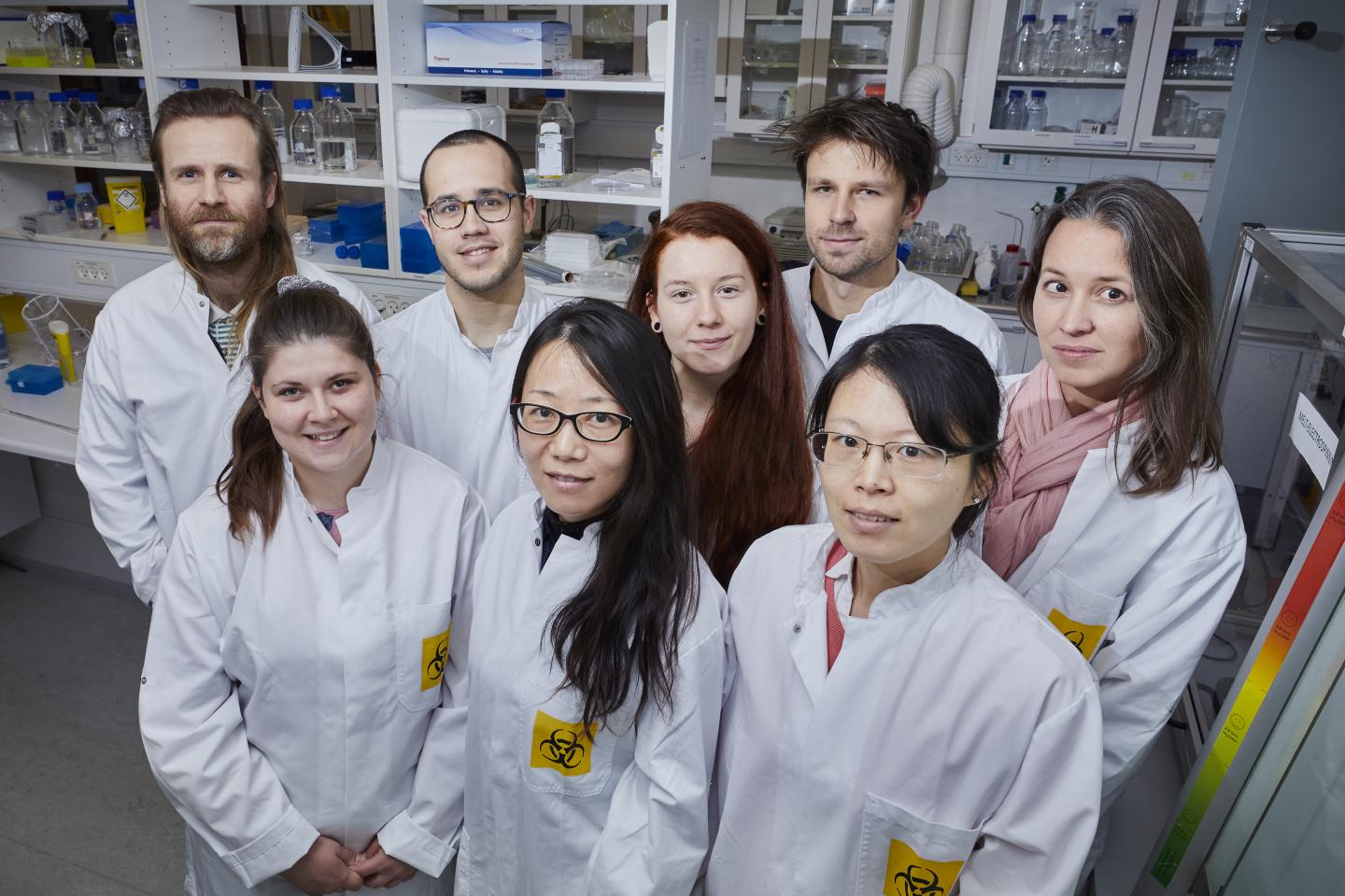 Menglin Chen Research Group [IMAGE] | EurekAlert! Science News Releases