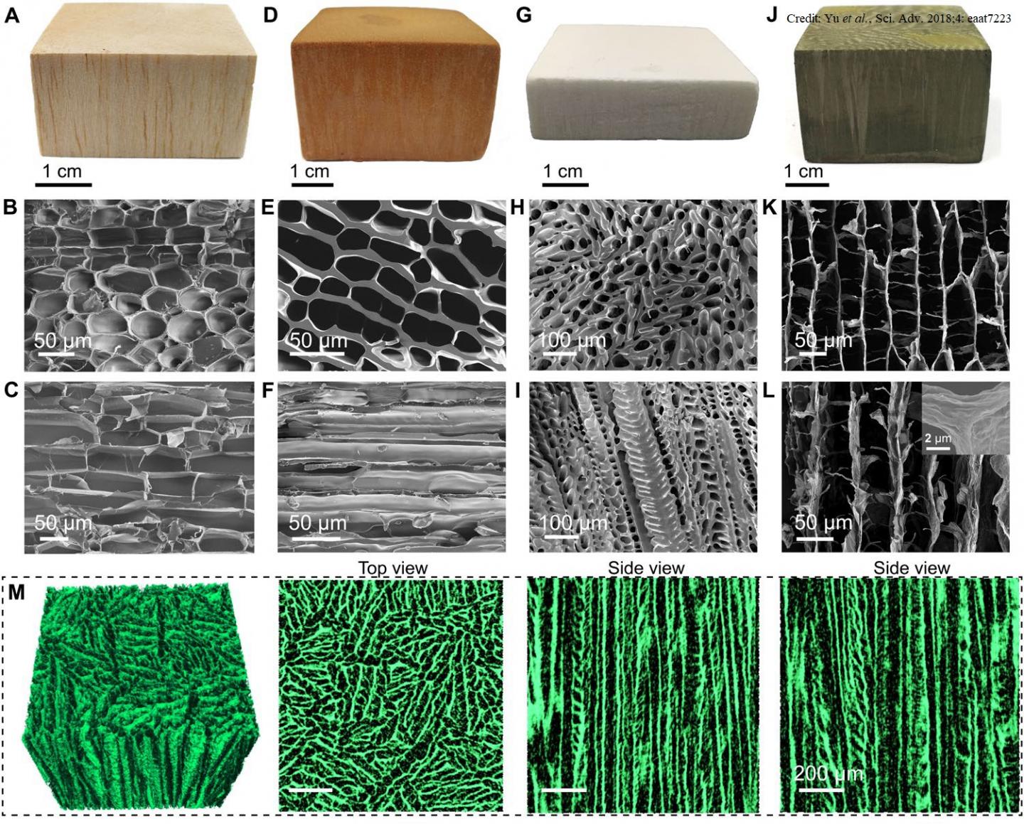 Manmade Wood Demonstrates Strength and Resist | EurekAlert!