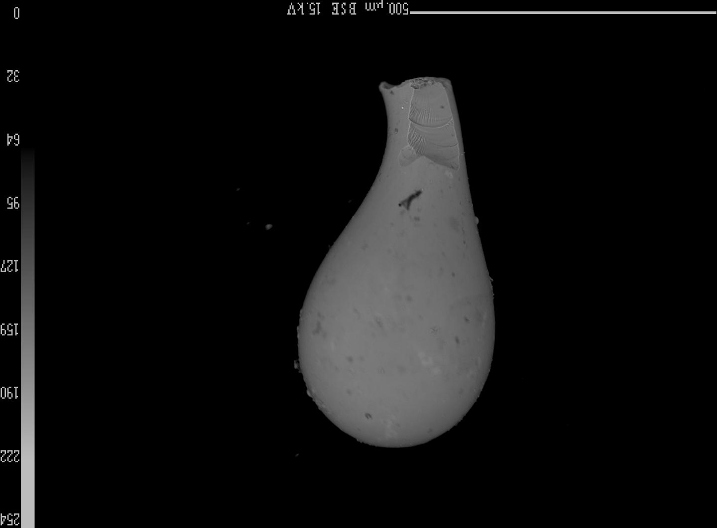 Flying Object [IMAGE] | EurekAlert! Science News Releases