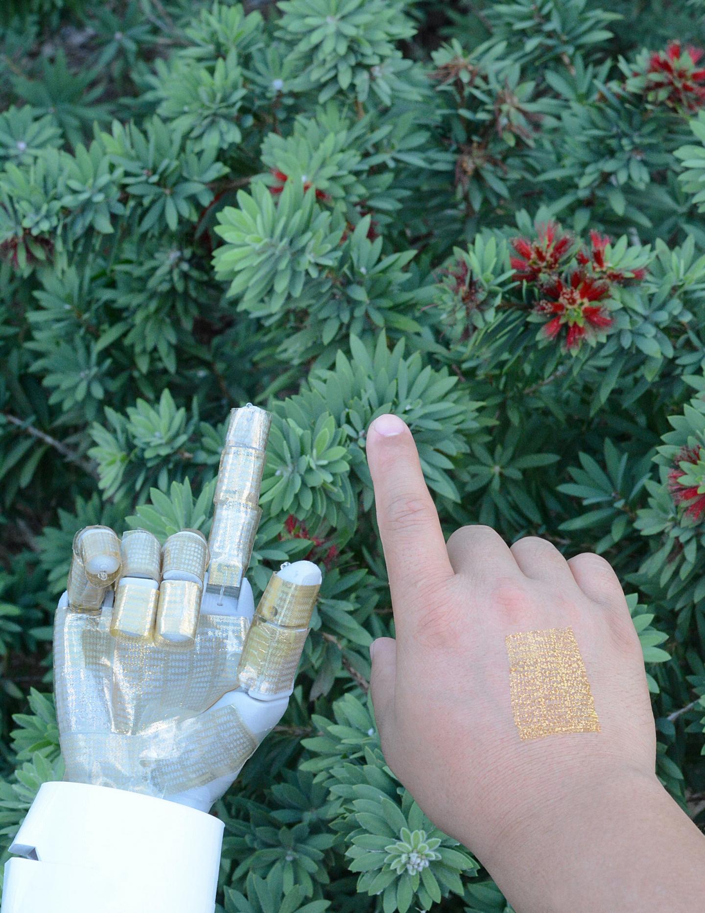 Wearable Human-Machine Interfa [IMAGE] | EurekAlert! Science News Releases