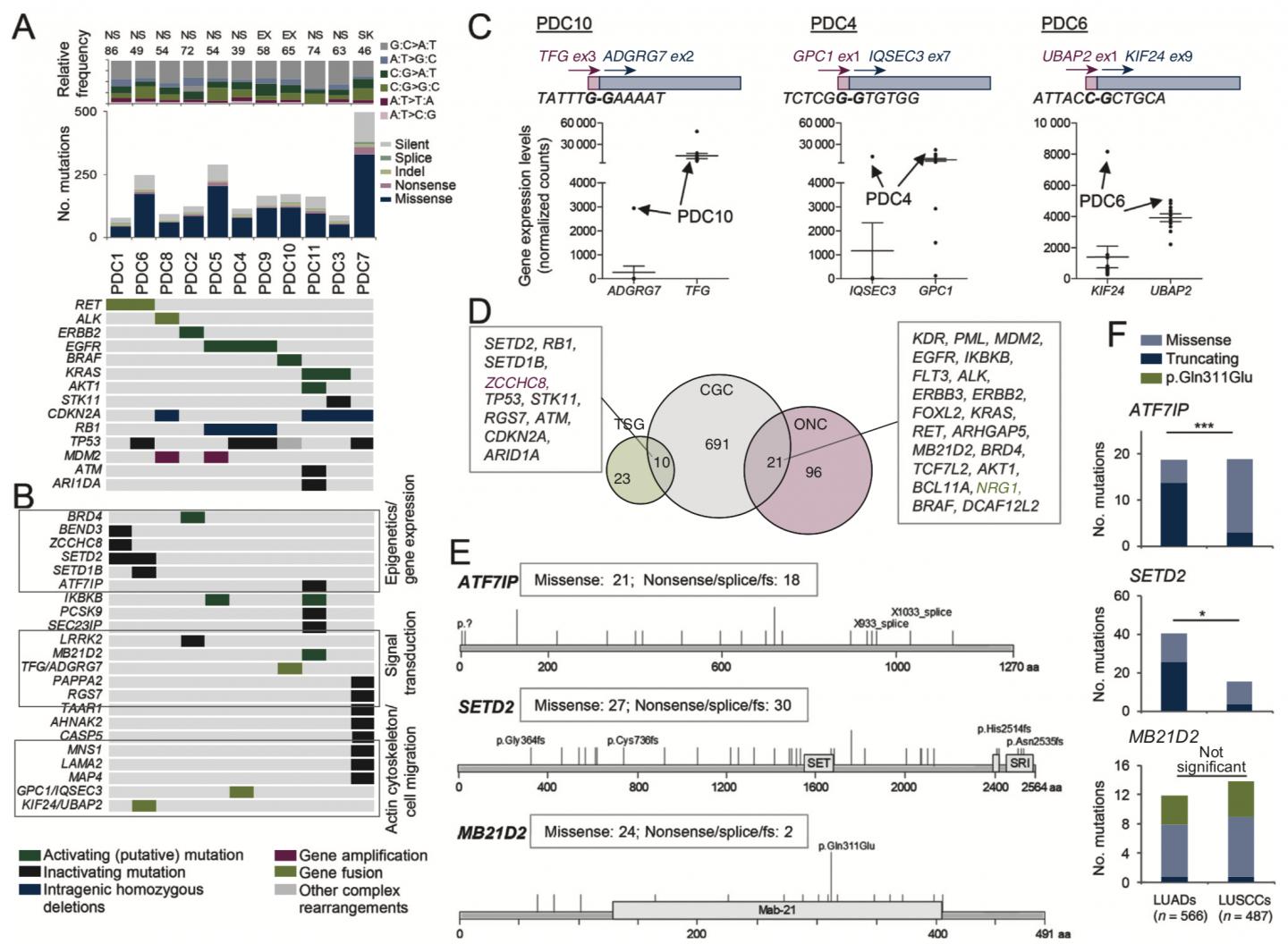 Somatic Gene Alterations Detec [IMAGE] | EurekAlert! Science News Releases