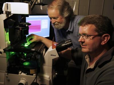 David Wright and Rick Haselton [IMAGE] | EurekAlert! Science News Releases
