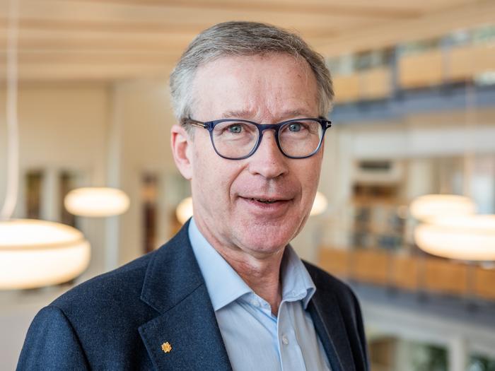 Lars Hultman [IMAGE] | EurekAlert! Science News Releases