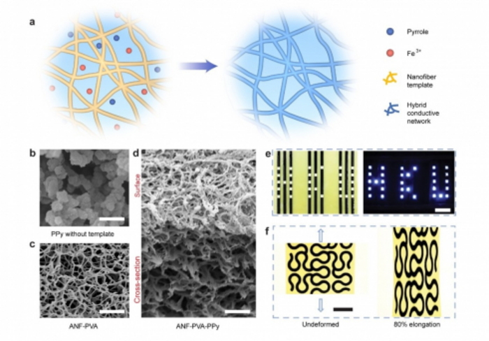 Schematics [IMAGE] | EurekAlert! Science News Releases
