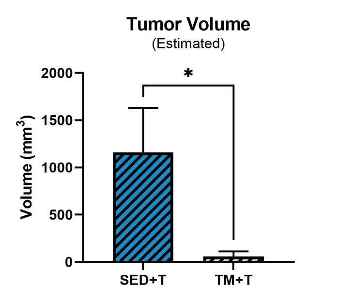 Tumor volume comparison [IMAGE] | EurekAlert! Science News Releases