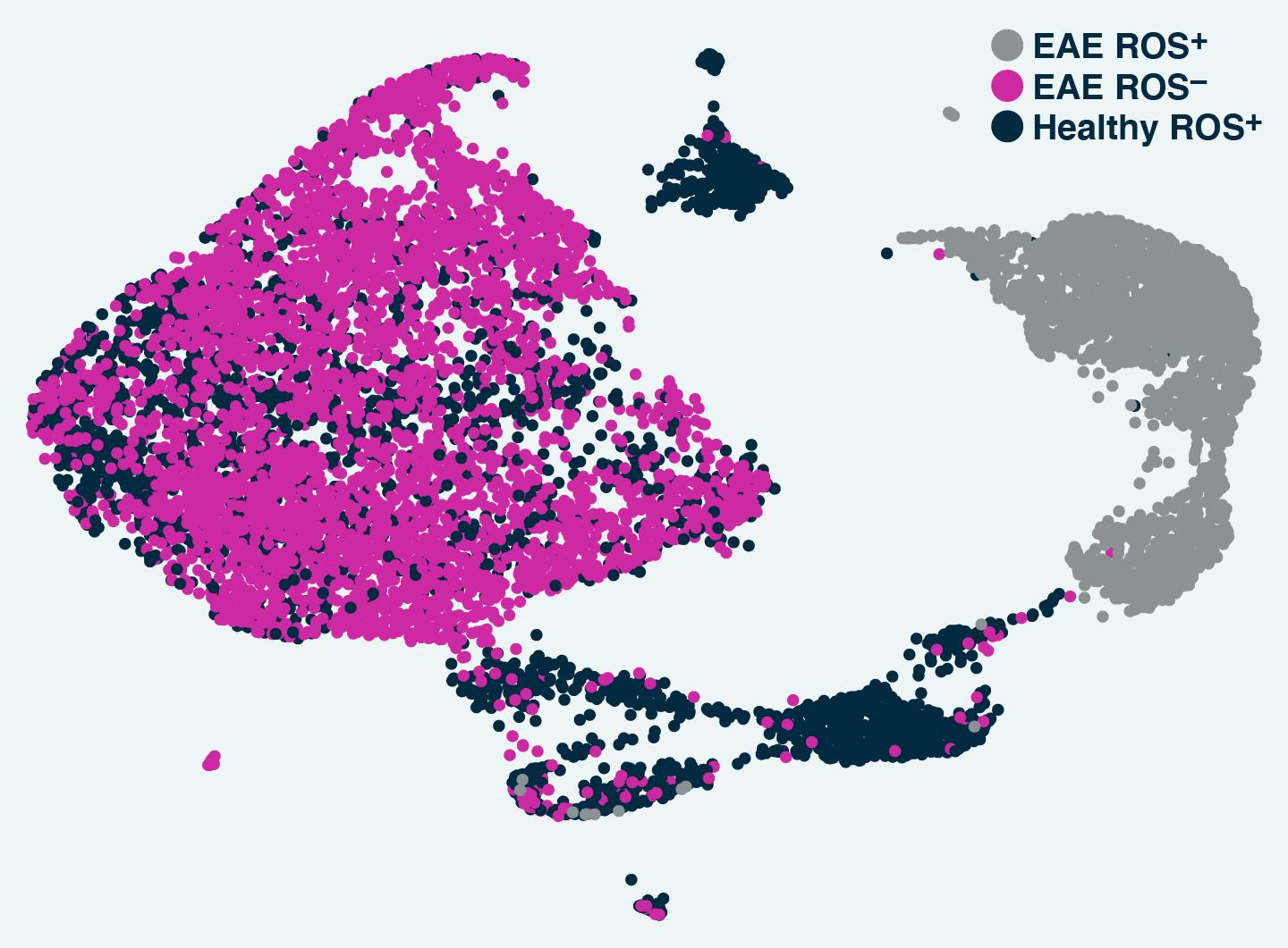 ROS Comparison [IMAGE] | EurekAlert! Science News Releases