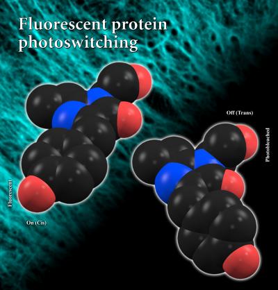 Structural basis for photoswitching in fluore | EurekAlert!