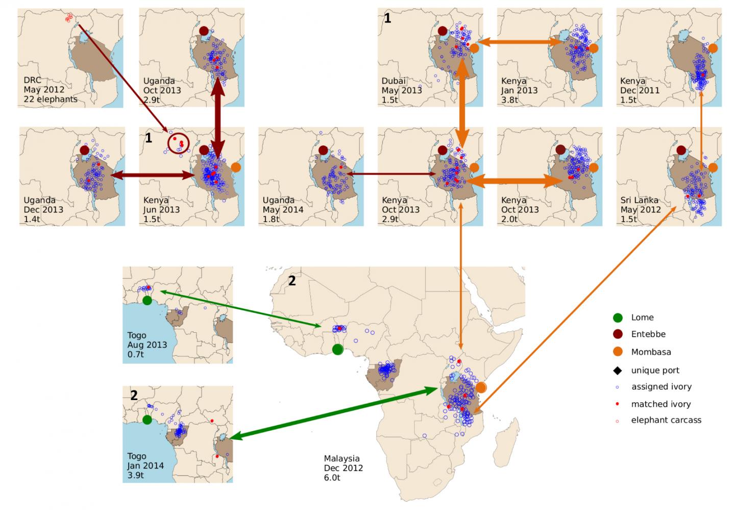 Ivory Shipments: Linkage Maps [IMAGE] | EurekAlert! Science News Releases