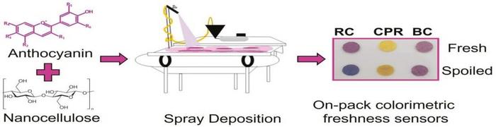 Graphical Abstract. [IMAGE] | EurekAlert! Science News Releases