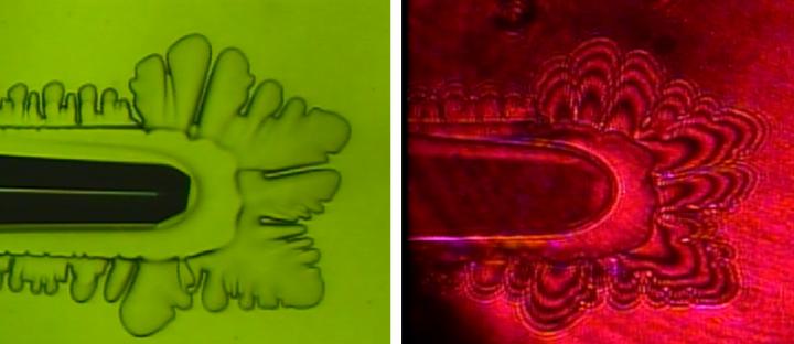 Single Ice Crystal [IMAGE] | EurekAlert! Science News Releases