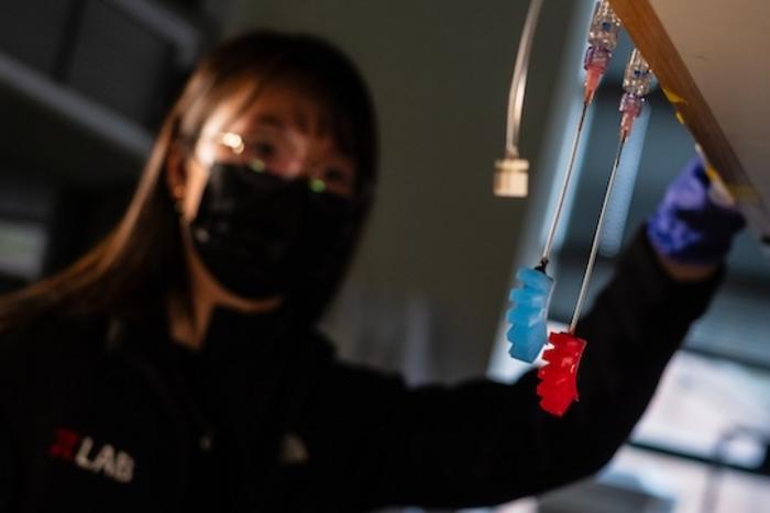 researcher [IMAGE] | EurekAlert! Science News Releases