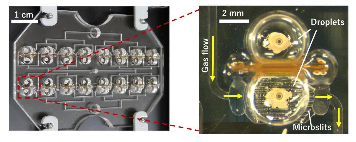The VOC Sensor in Detail [IMAGE] | EurekAlert! Science News Releases